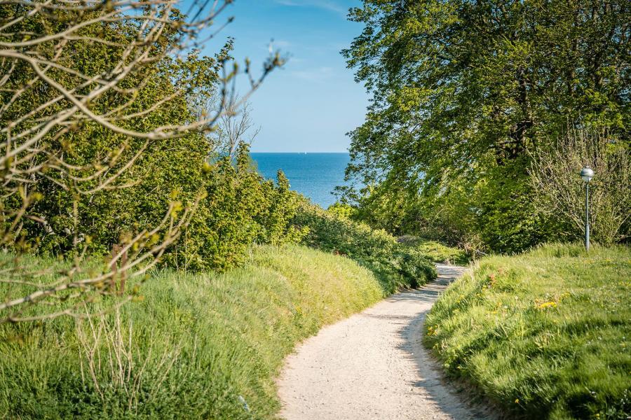 Bild-Nr. 3341 - Wanderweg nach Vitt am Kap Arkona - Rügenfotos.de