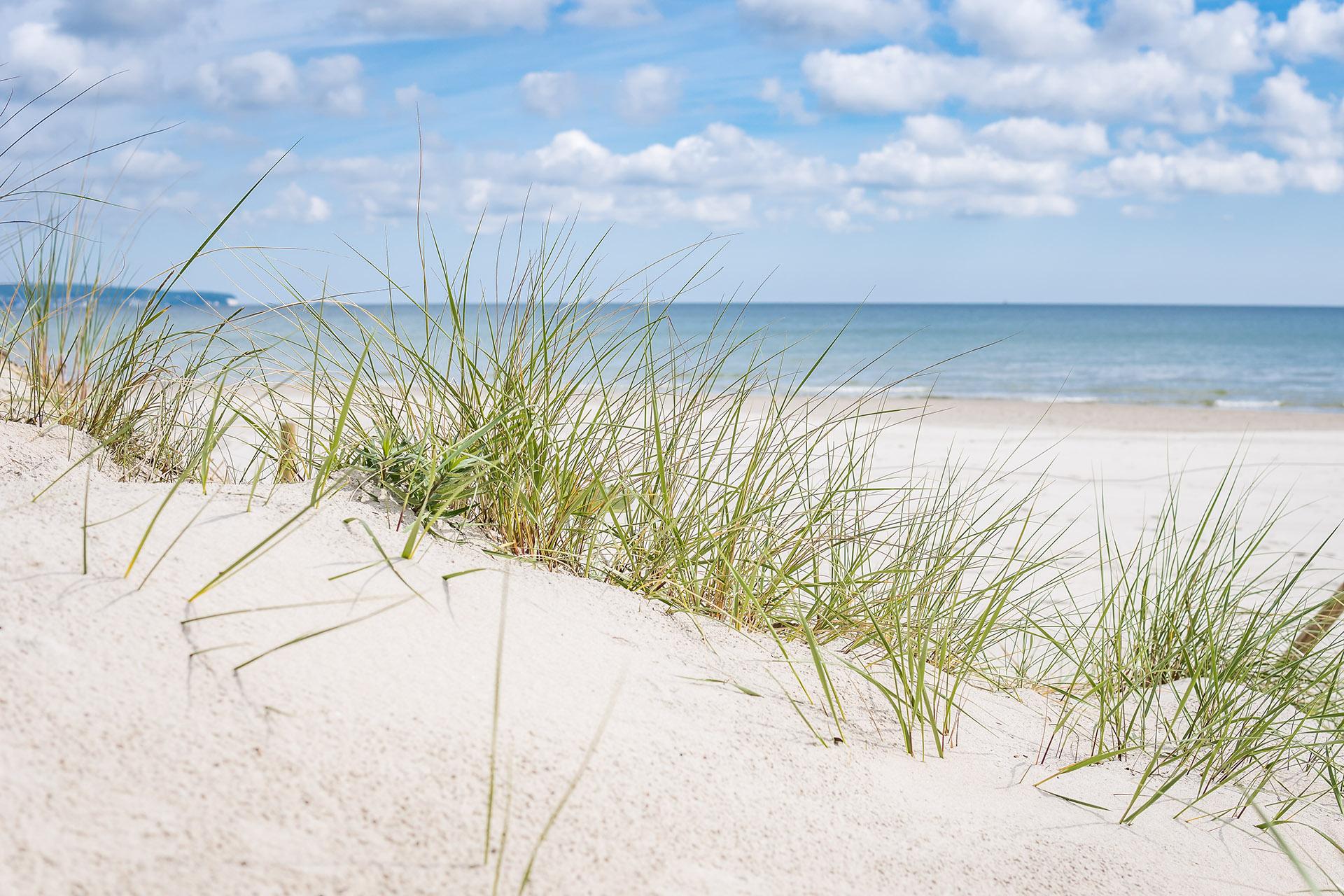 Bild-Nr. 2801 - Strand Ostseebad Binz - Rügenfotos.de